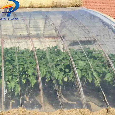 Big Size 8-20m LDPE Material PO Plastic Agricultural Greenhouse Film supplier