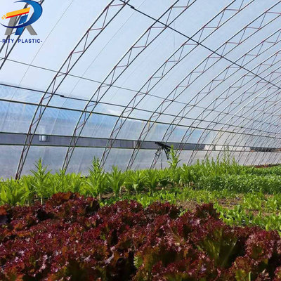 Profesional Projects LDPE Agricultural Plastic Film 20m Transparent Greenhouse Film supplier