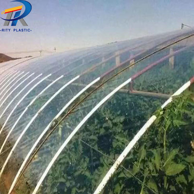 Greenhouse Plastic 200 Micron UV Film 100% New LDPE Material Agriculture Film supplier