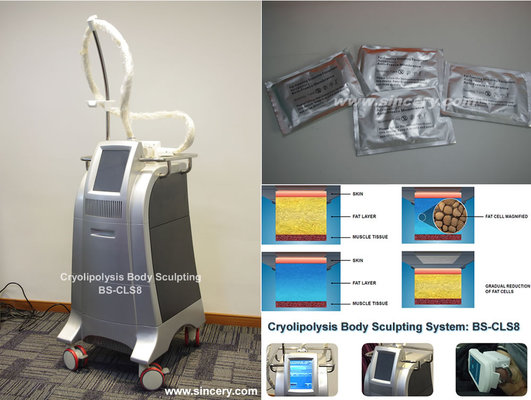 China Permanent Fat Reduction Cryolipolysis Therapy Machine supplier