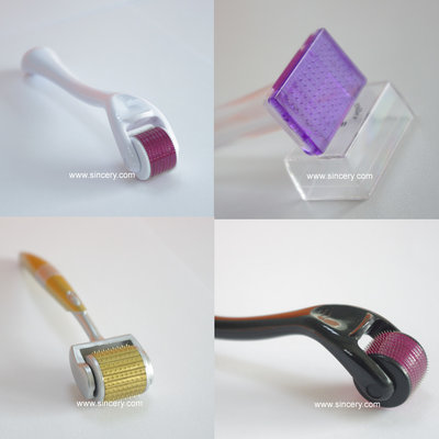 Dermaroller machine beauty equipment DNS series BS-DNS supplier