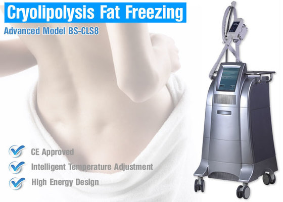 Cryolipolysis slimming equipment Cryolipolysis fat freezing slimming equipment supplier