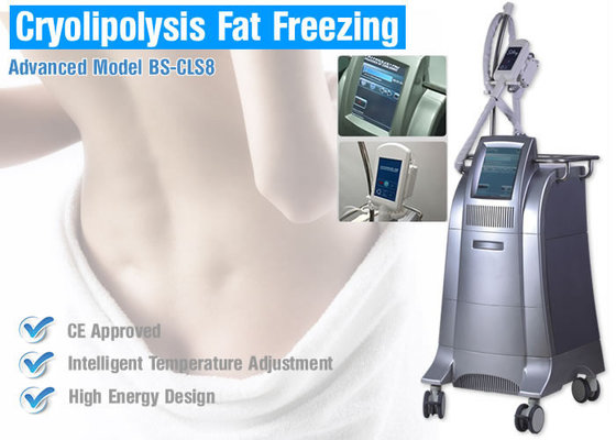 Cryolipolysis slimming equipment ODM&OEM cryolipolysis slimming fat freezing device cryo sculpture machine supplier