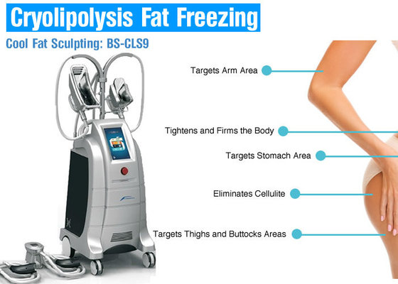 Cryolipolysis slimming equipment Europe popular 4 handpieces cryomed cryolipolysis rf slimming machine supplier