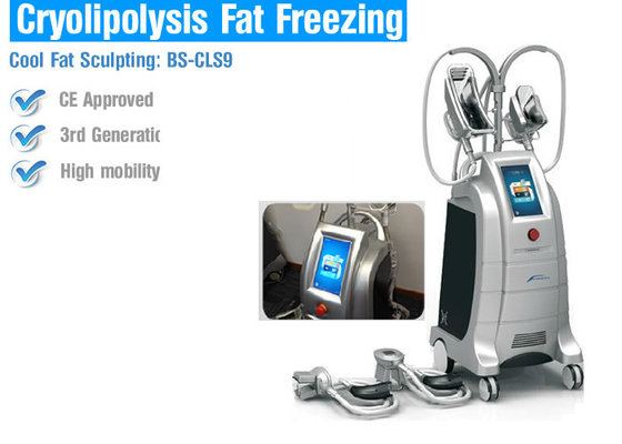 Cryolipolysis slimming equipment Europe popular 4 handpieces cryomed cryolipolysis rf slimming machine supplier