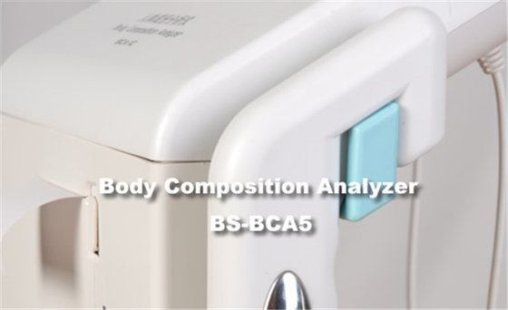 Segmented Body Composition Analyzer / Fat Percentage Monitor For Clinic Human Healthy Test supplier