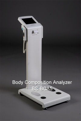 Body Composition Analyzer With Segmented Report For Fat Weight BMI Analysis supplier