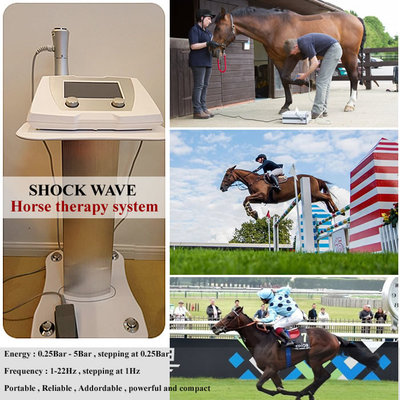 Vet high energy shock wave therapy machine veterinary shockwave therapy machine for racehorse supplier