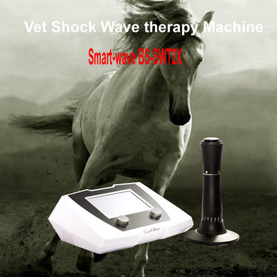 ESWT shockwave vet treatment veterinary extracorporeal shock wave therapy machine horse racing for animal supplier
