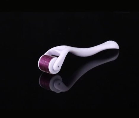 CE Certification Dermaroller Skin Care Product 540 Micro Needle Dermaroller Titanium supplier