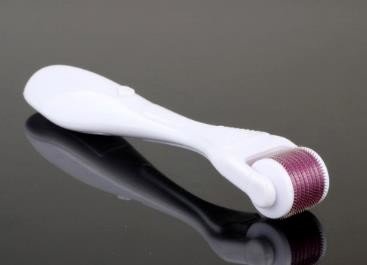 CE Certification Dermaroller Skin Care Product 540 Micro Needle Dermaroller Titanium supplier
