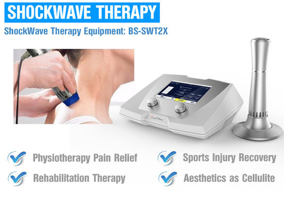 Equine Extracorporeal Shockwave Therapy Acoustic Pulse Wave Therapy Machine Equipment supplier