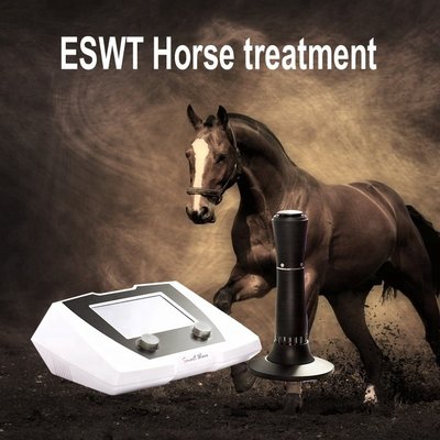 ESWT shockwave vet treatment veterinary extracorporeal shock wave therapy machine horse racing for animal supplier