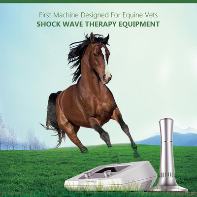ESWT shockwave vet treatment veterinary extracorporeal shock wave therapy machine horse racing for animal supplier