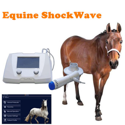 ESWT shockwave vet treatment veterinary extracorporeal shock wave therapy machine horse racing for animal supplier