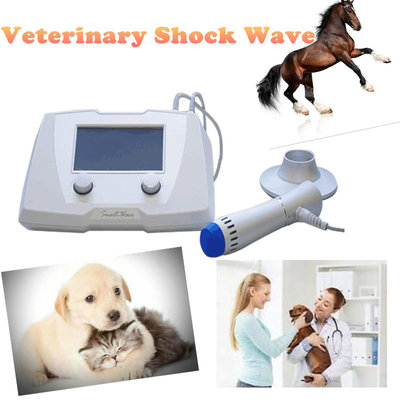 Vet high energy shock wave therapy machine veterinary shockwave therapy machine for racehorse supplier