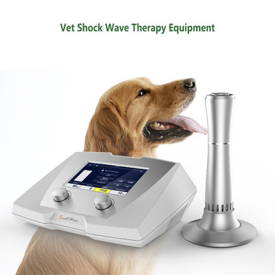 Vet high energy shock wave therapy machine veterinary shockwave therapy machine for racehorse supplier