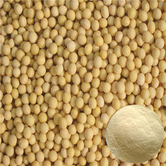 China L-α-phosphatidylserine ps brain phosphatidyl serine supplier