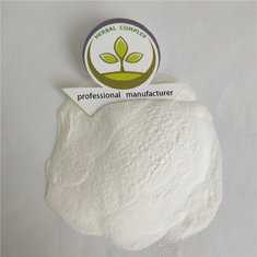 China Zero Calories High Quality Chicory root extract dietary fiber powder natural sources inulin 90% 95% supplier