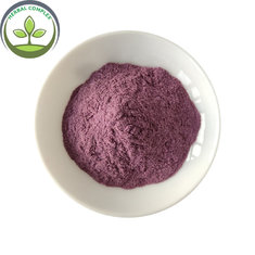 China Instant Powder Drink Blackberry Extract Powder With Best Price supplier