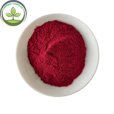 China Wholesale Elderberry Powder For Instant Tea Powder supplier