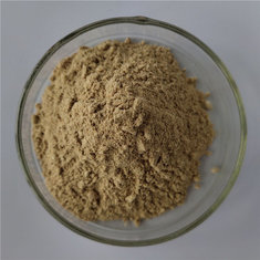 China Pharmaceutical Grade White Mustard Extract In Bulk supplier