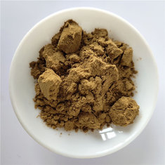 China gmp energy supplement white tea extract in bulk stock supplier