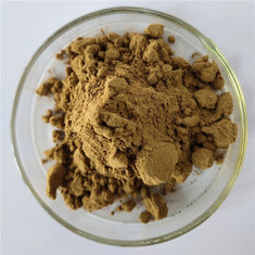 China wholesale calm the nerves tamarind extract for capsule supplier
