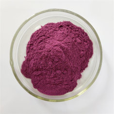 China Blackcurrant Extract For Immune Anti-fatigue supplier