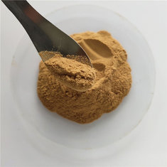 China Gmp Certificate Manufacturer Fennel Seed Extract supplier