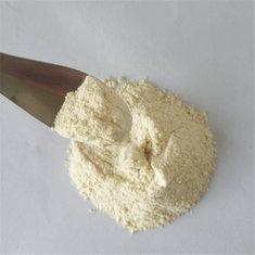 China Hot Sale garcinia cambogia 60% to lose weight supplier