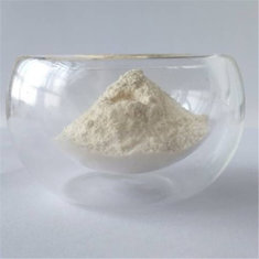 China 10:1 wholesale garcinia cambogia in bulk supplier