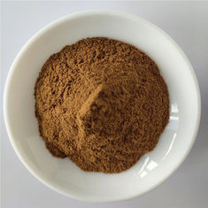 China Wholesale 10:1 Yerba Mate Extract In Bulk Stock supplier