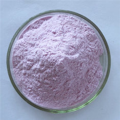 China Food Grade Red Cabbage Powder For Food Additives supplier