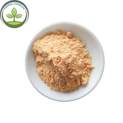papaya juice powder  buy best papain pawpaw powder uses health benefits supplement products supplier