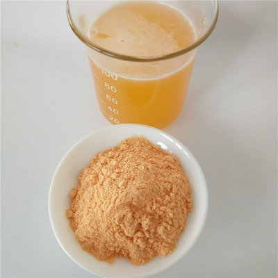 papaya juice powder  buy best papain pawpaw powder uses health benefits supplement products supplier