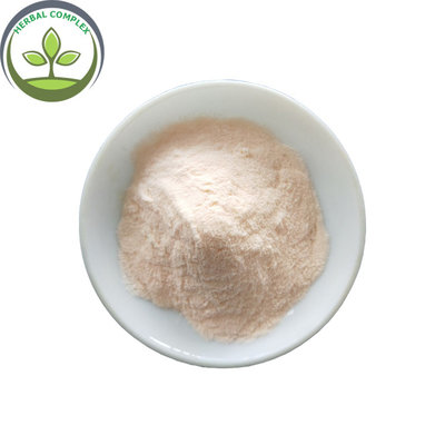 grapefruit juice powder buy best dried organic grapefruit powder  uses health benefits supplement products capsules tabe supplier