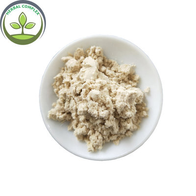 avocado powder buy  best dried avocado powder health benefits supplement products drink dosage pills supplier