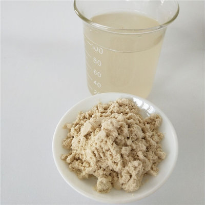 avocado powder buy  best dried avocado powder health benefits supplement products drink dosage pills supplier