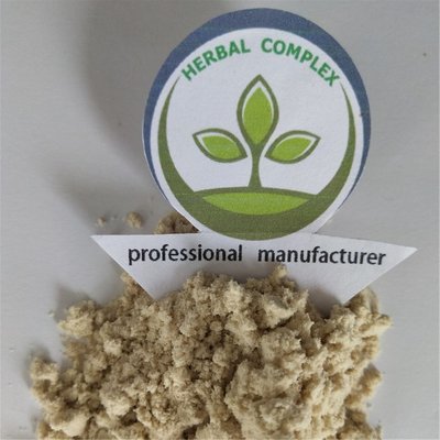 avocado powder buy  best dried avocado powder health benefits supplement products drink dosage pills supplier