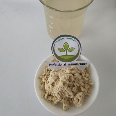 avocado powder buy  best dried avocado powder health benefits supplement products drink dosage pills supplier