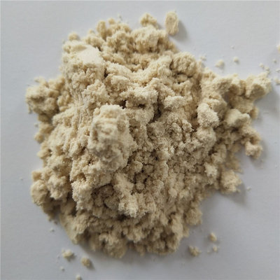 avocado powder buy  best dried avocado powder health benefits supplement products drink dosage pills supplier