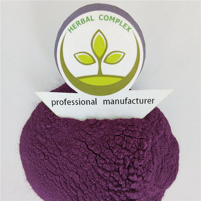 blueberry extract anthocyanins powder buy best bilberry anthocyanins health benefits supplement products uses for antiox supplier
