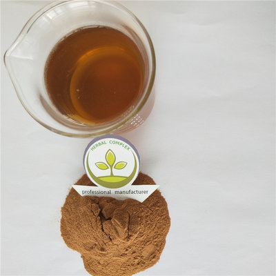 jujube fruit powder buy  best health benefits supplement products drink freeze dried blackcurrant powder supplier