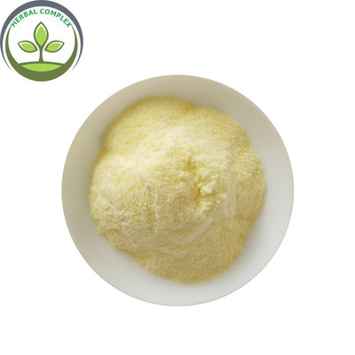 durian fruit powder  buy  best health benefits supplement smell products nutrition supplier