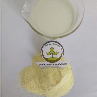 durian fruit powder  buy  best health benefits supplement smell products nutrition supplier