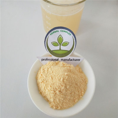 honeydew melon powder  buy powdered musk melon  best health benefits mixed drinks supplement bulk bubble tea powder supplier