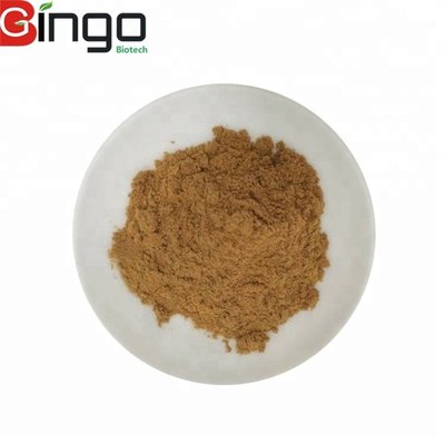 Radix Notoginseng P.E./Pseudo-ginseng/san qi Herbal Dietary Supplement supplier