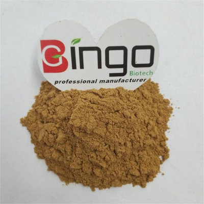 Radix Notoginseng P.E./Pseudo-ginseng/san qi Herbal Dietary Supplement supplier