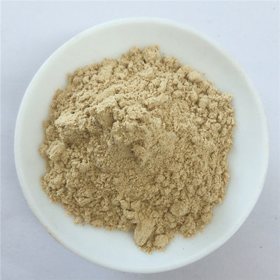 bitter melon extract powder 10% can be usedas nutritional supplement Free Sampler supplier